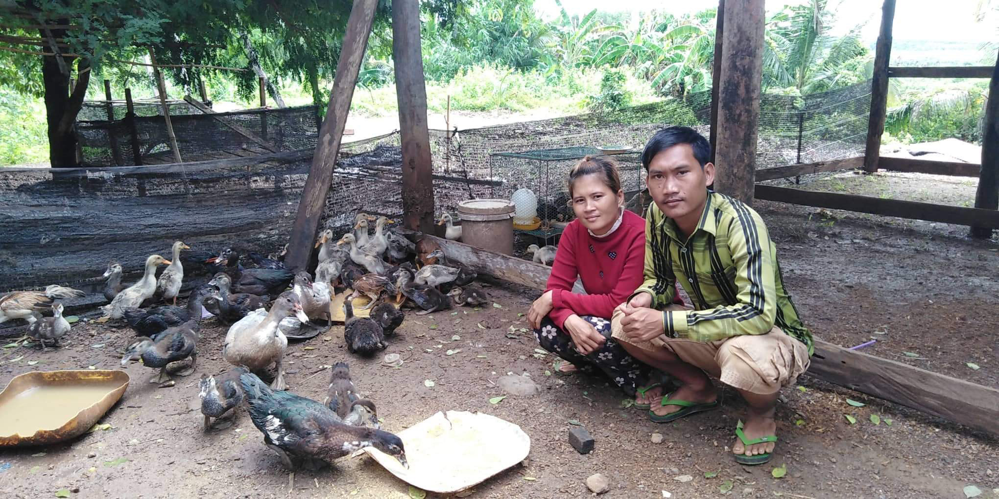 Cambodia Agriculture Initiative Update - Nov. 2019 ...