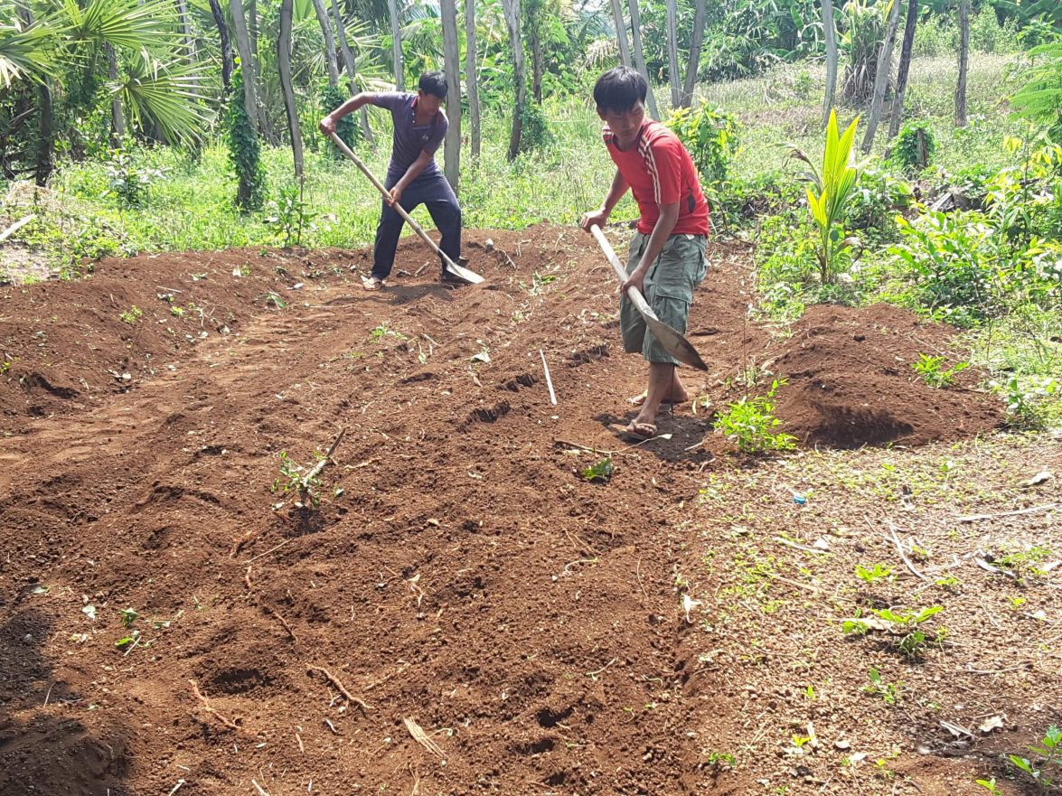 Cambodia Agriculture Initiative Update - Nov. 2019 ...