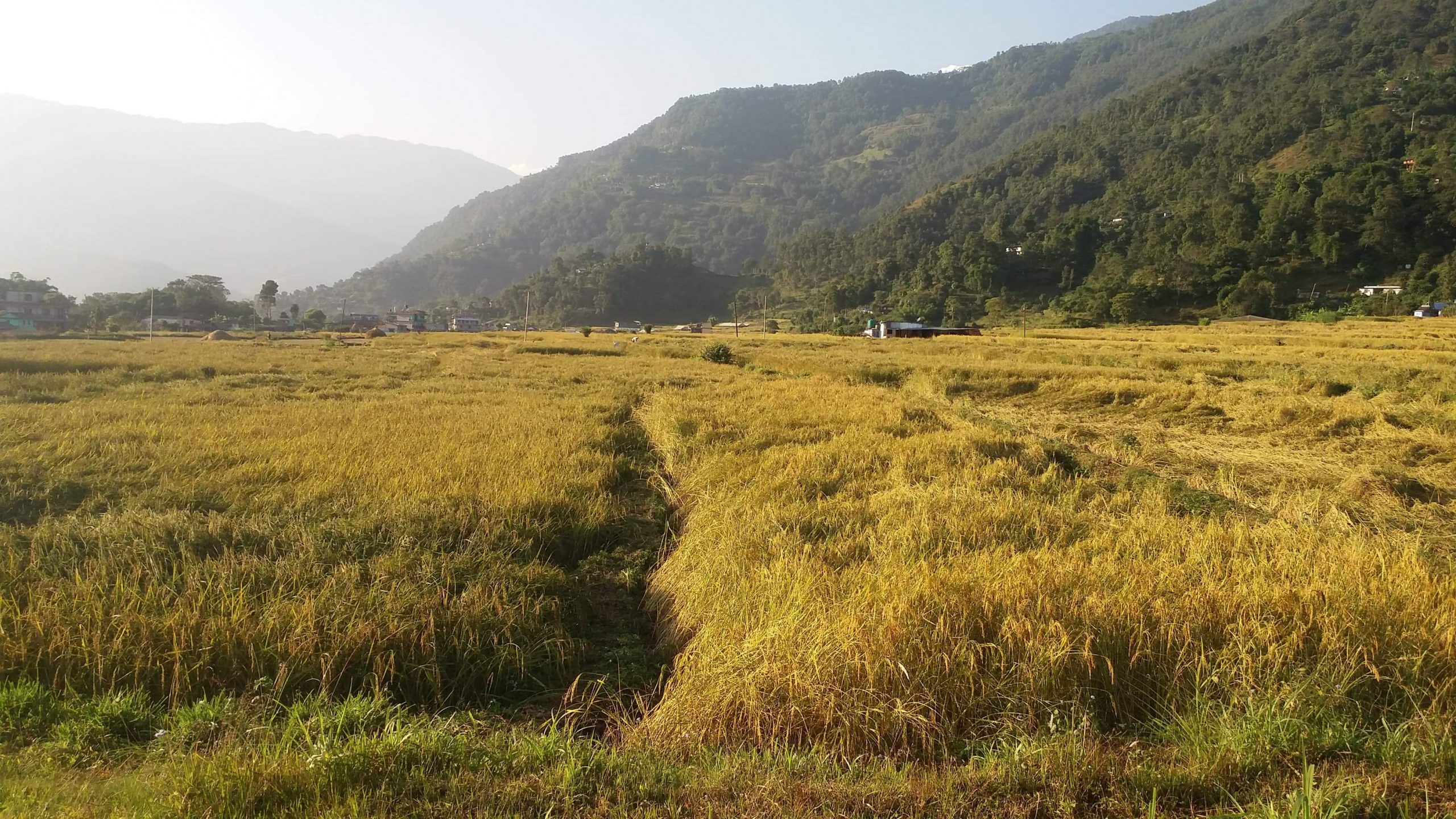 Nepal Irrigation Project Update - Nov. 2020 - InnovativeCommunities.Org ...