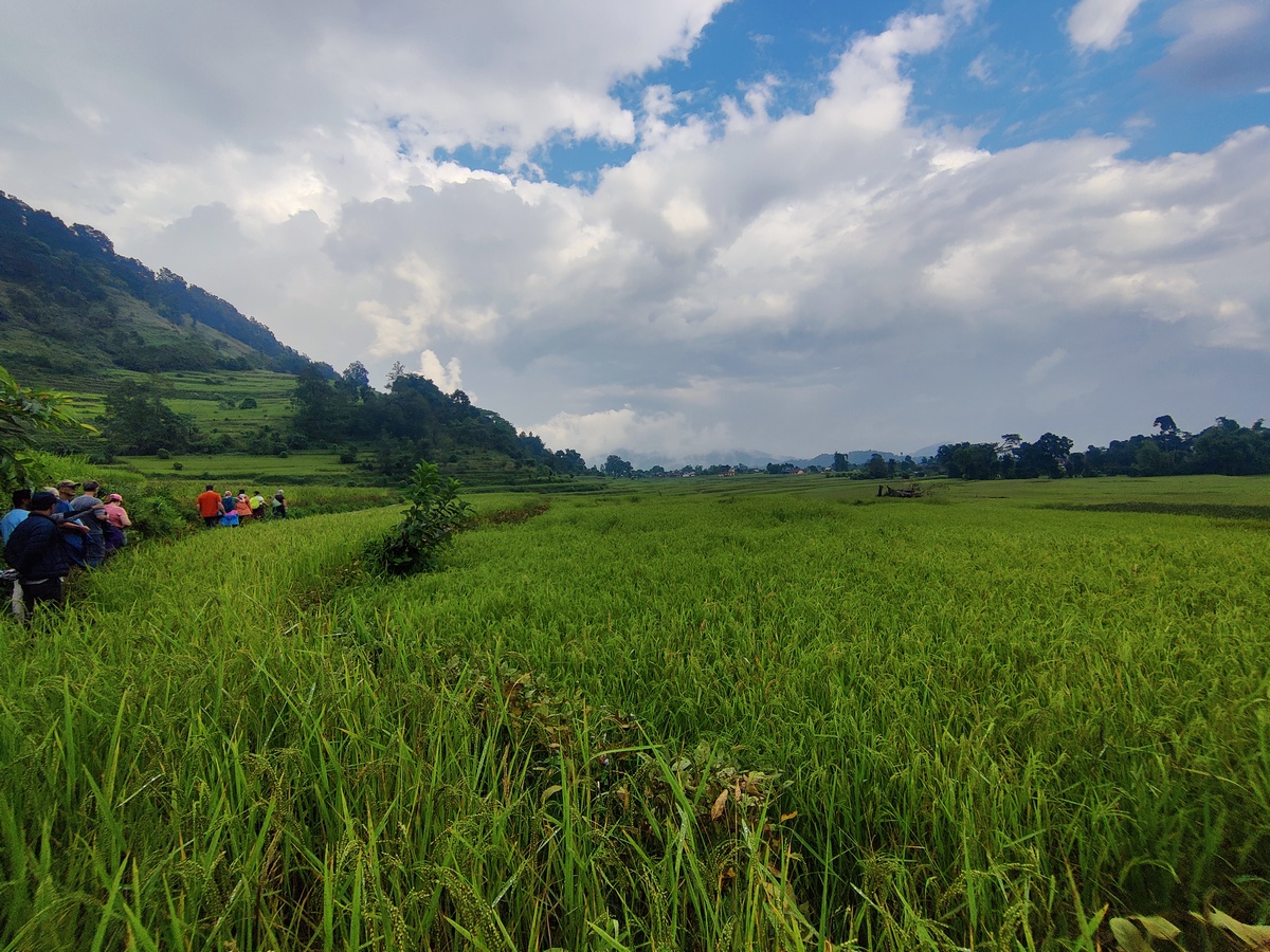 Nepal Irrigation Project Update – November 2024 - InnovativeCommunities ...