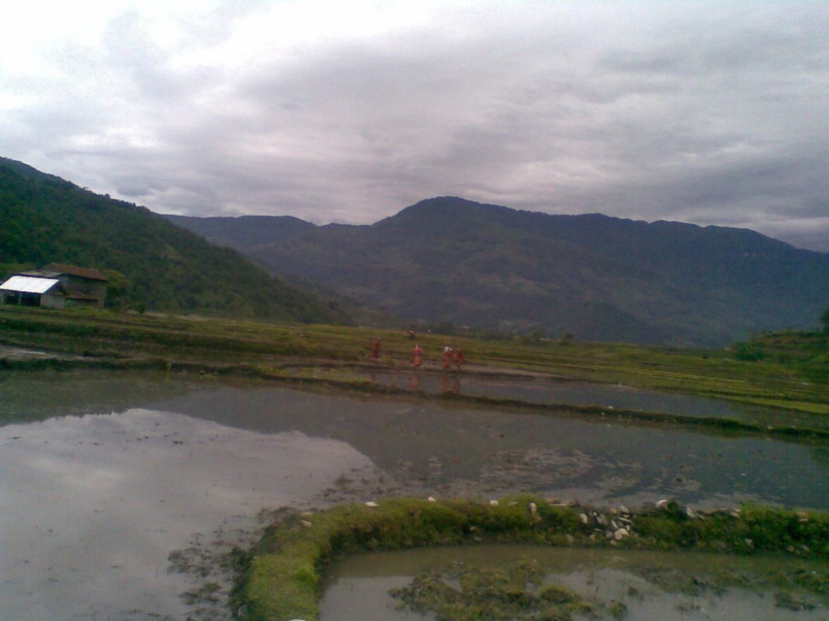 Nepal Irrigation Project Update – June 2025 - InnovativeCommunities.Org ...